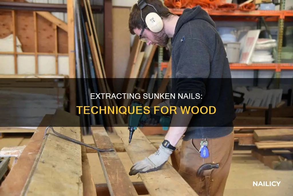 Extracting Sunken Nails: Techniques For Wood | Nailicy