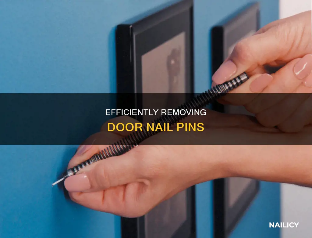 Efficiently Removing Door Nail Pins | Nailicy