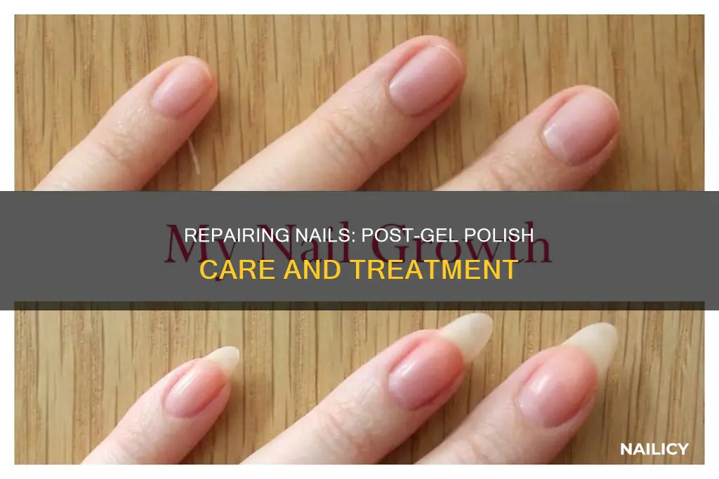 Repairing Nails: Post-Gel Polish Care And Treatment | Nailicy