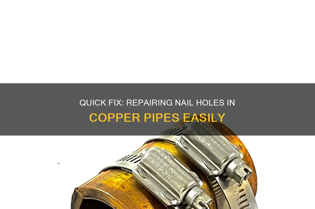 Quick Fix: Repairing Nail Holes In Copper Pipes Easily | Nailicy