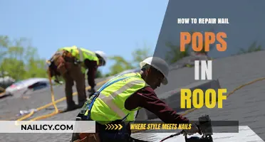 Fixing Nail Pops In Your Roof: A Step-By-Step Repair Guide | Nailicy
