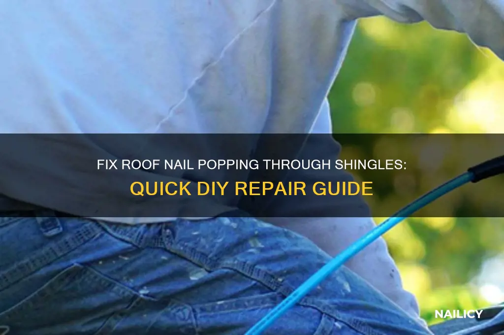 Fix Roof Nail Popping Through Shingles: Quick Diy Repair Guide | Nailicy