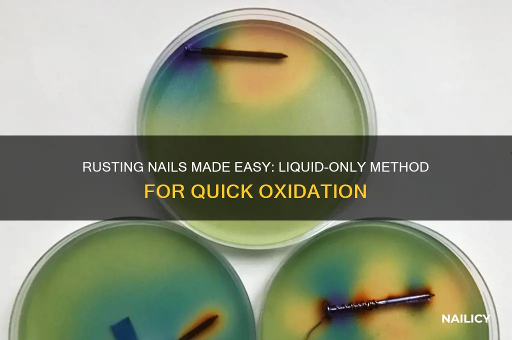 Rusting Nails Made Easy: Liquid-Only Method For Quick Oxidation | Nailicy