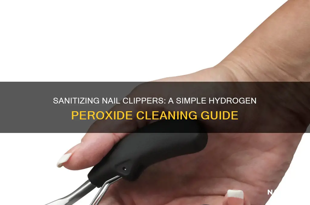Sanitizing Nail Clippers: A Simple Hydrogen Peroxide Cleaning Guide ...