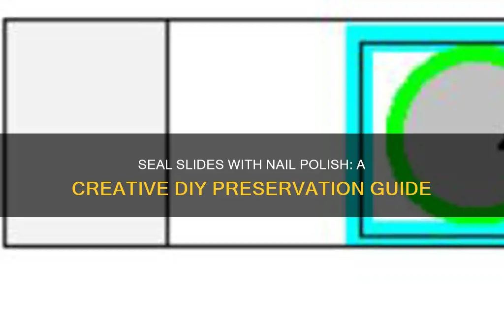 Seal Slides With Nail Polish: A Creative Diy Preservation Guide | Nailicy