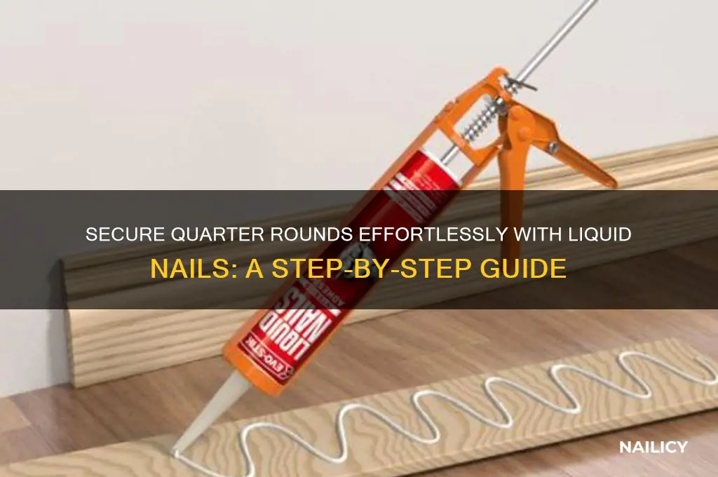 Secure Quarter Rounds Effortlessly With Liquid Nails: A Step-By-Step ...