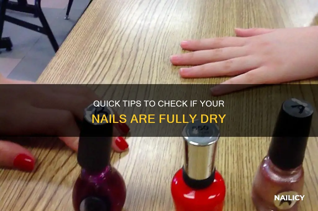 Quick Tips To Check If Your Nails Are Fully Dry | Nailicy