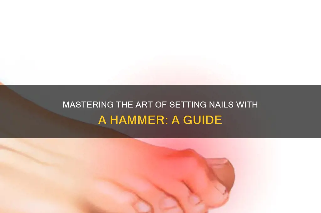 Mastering The Art Of Setting Nails With A Hammer: A Guide | Nailicy