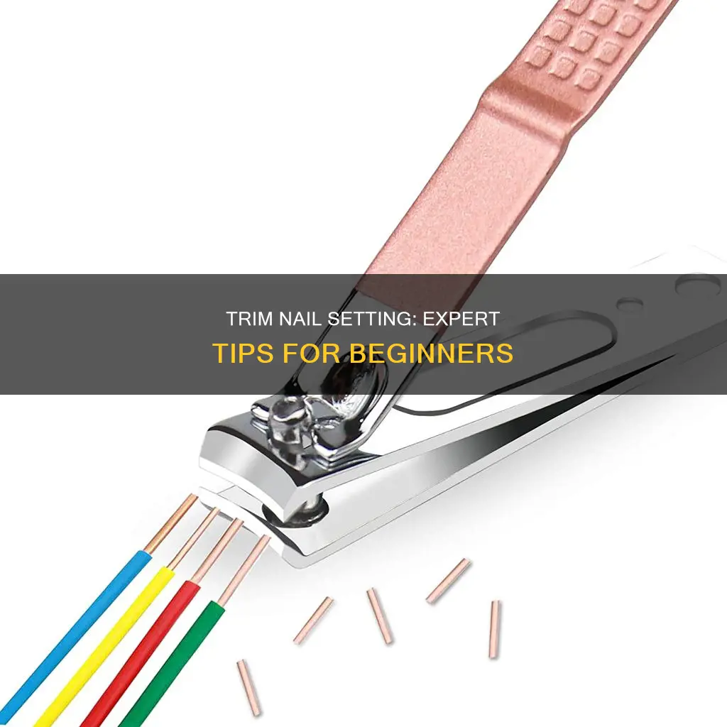 Trim Nail Setting: Expert Tips For Beginners | Nailicy