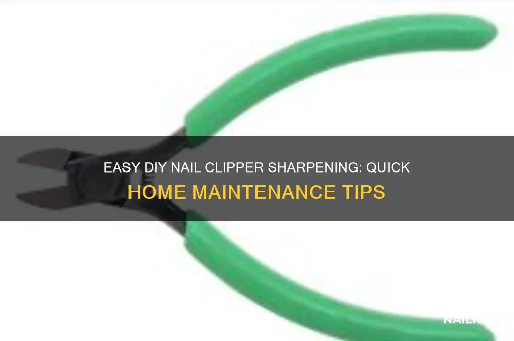 Easy Diy Nail Clipper Sharpening: Quick Home Maintenance Tips | Nailicy