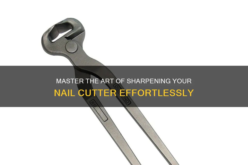 Master The Art Of Sharpening Your Nail Cutter Effortlessly | Nailicy