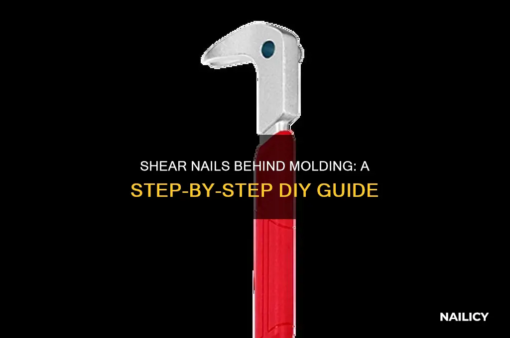 Shear Nails Behind Molding: A Step-By-Step Diy Guide | Nailicy