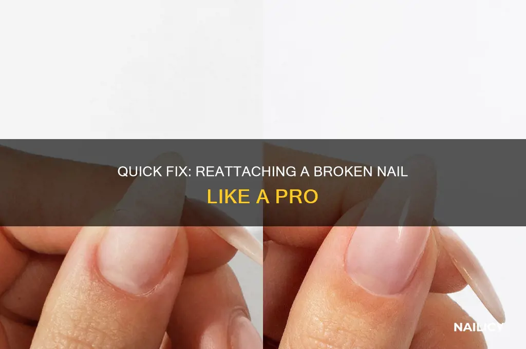 Quick Fix: Reattaching A Broken Nail Like A Pro | Nailicy