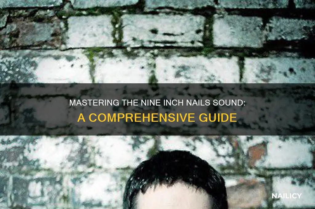 Mastering The Nine Inch Nails Sound: A Comprehensive Guide | Nailicy