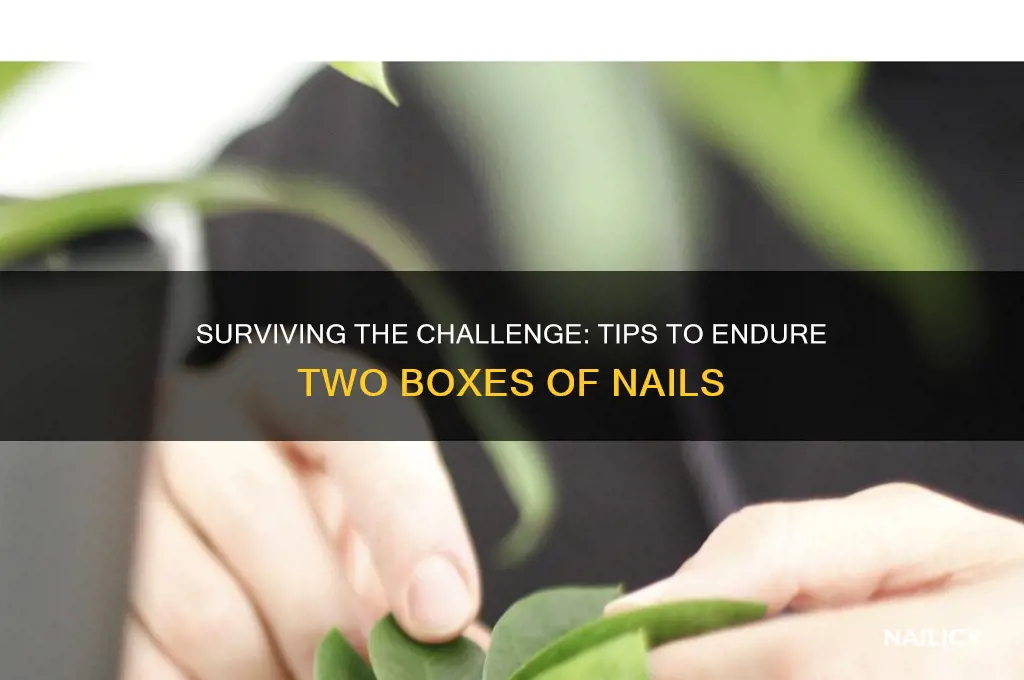 Surviving The Challenge: Tips To Endure Two Boxes Of Nails | Nailicy