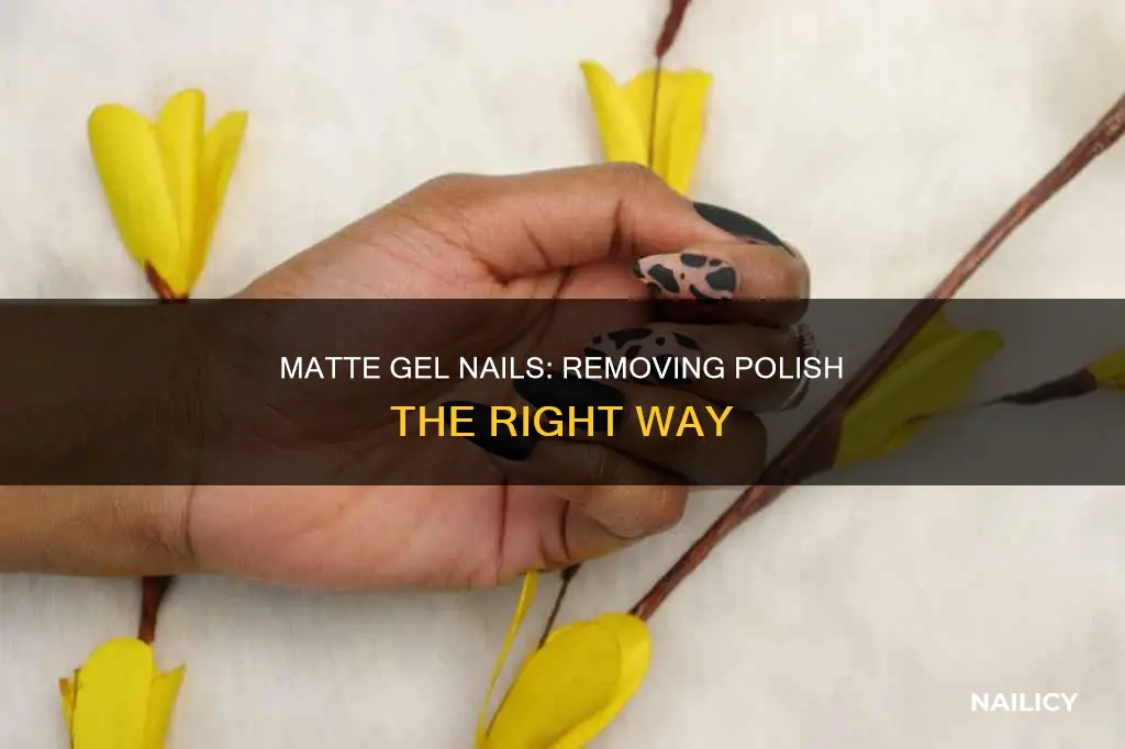 Matte Gel Nails: Removing Polish The Right Way | Nailicy