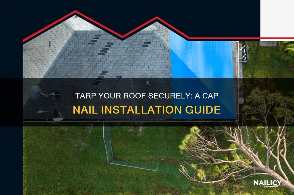 Tarp Your Roof Securely: A Cap Nail Installation Guide | Nailicy