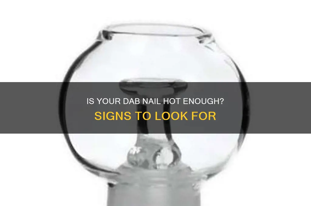 Is Your Dab Nail Hot Enough? Signs To Look For | Nailicy
