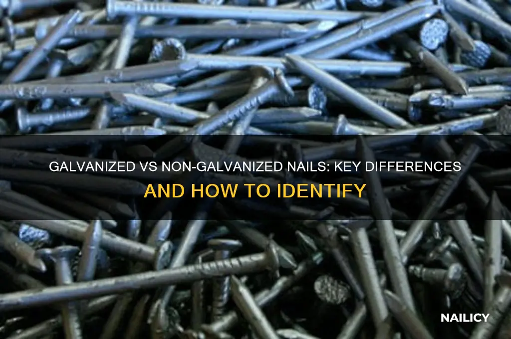 Galvanized Vs Non-Galvanized Nails: Key Differences And How To Identify ...