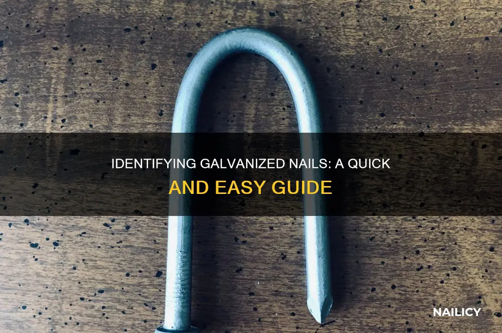 Identifying Galvanized Nails: A Quick And Easy Guide | Nailicy