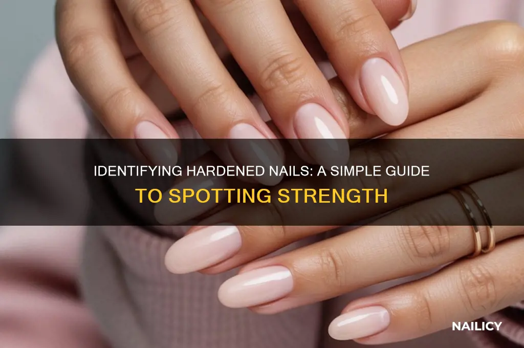 Identifying Hardened Nails: A Simple Guide To Spotting Strength | Nailicy