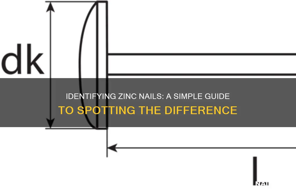 Identifying Zinc Nails: A Simple Guide To Spotting The Difference | Nailicy
