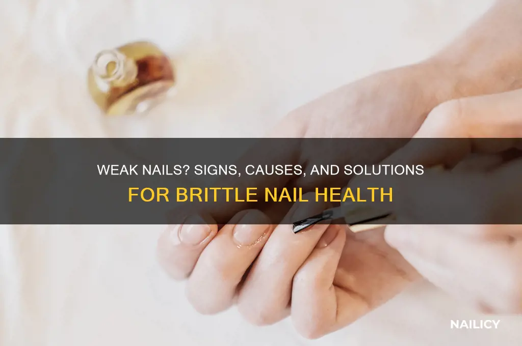 Weak Nails? Signs, Causes, And Solutions For Brittle Nail Health | Nailicy
