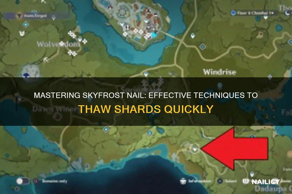 Mastering Skyfrost Nail: Effective Techniques To Thaw Shards Quickly ...
