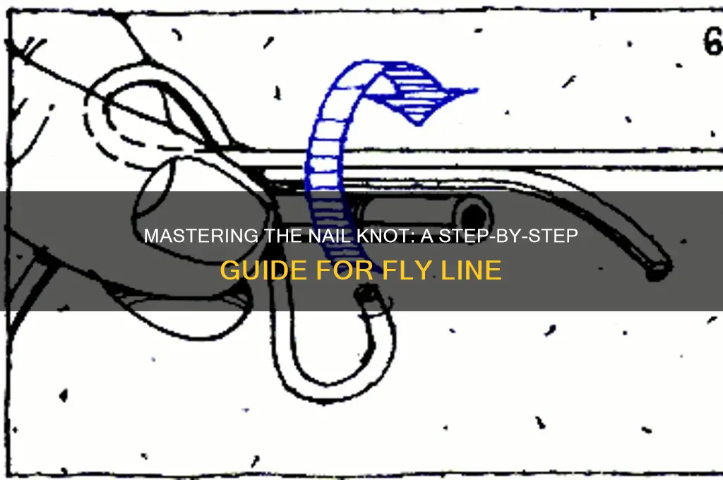 Mastering The Nail Knot: A Step-By-Step Guide For Fly Line | Nailicy