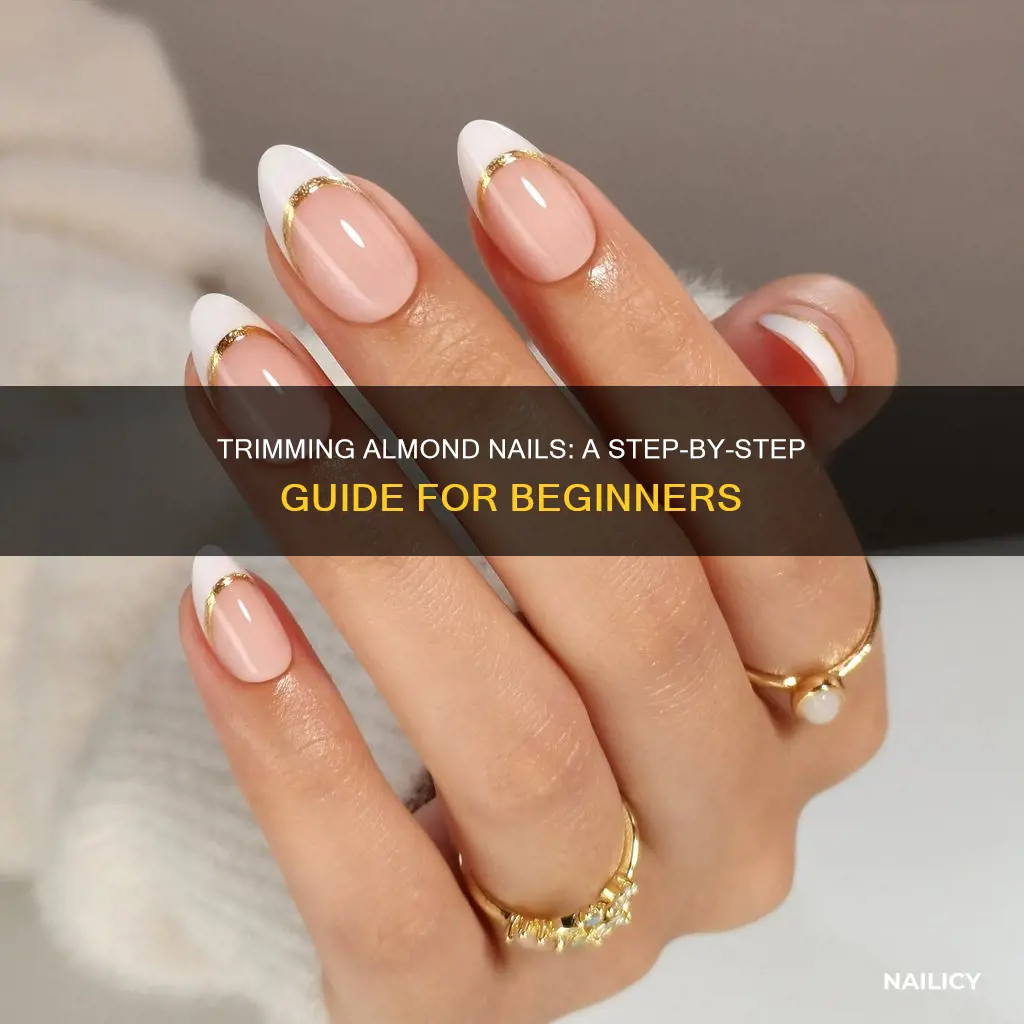 Trimming Almond Nails: A Step-By-Step Guide For Beginners | Nailicy