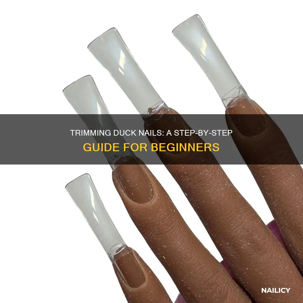 Trimming Duck Nails: A Step-By-Step Guide For Beginners | Nailicy