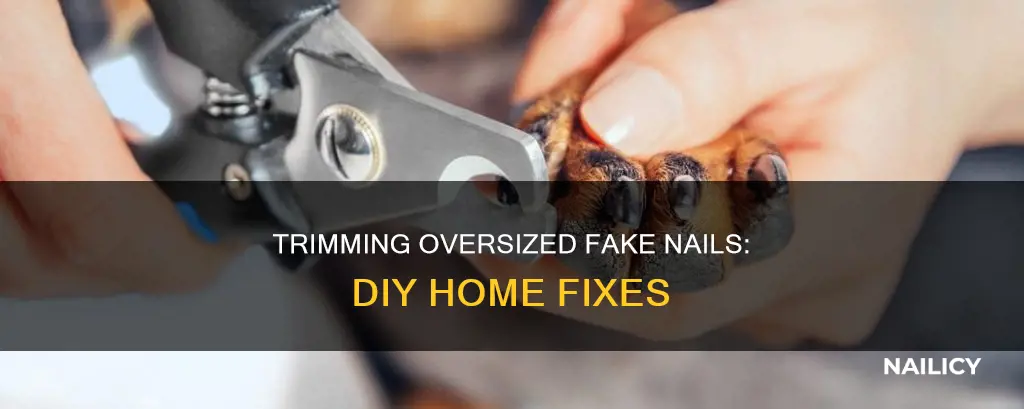Trimming Oversized Fake Nails: Diy Home Fixes | Nailicy