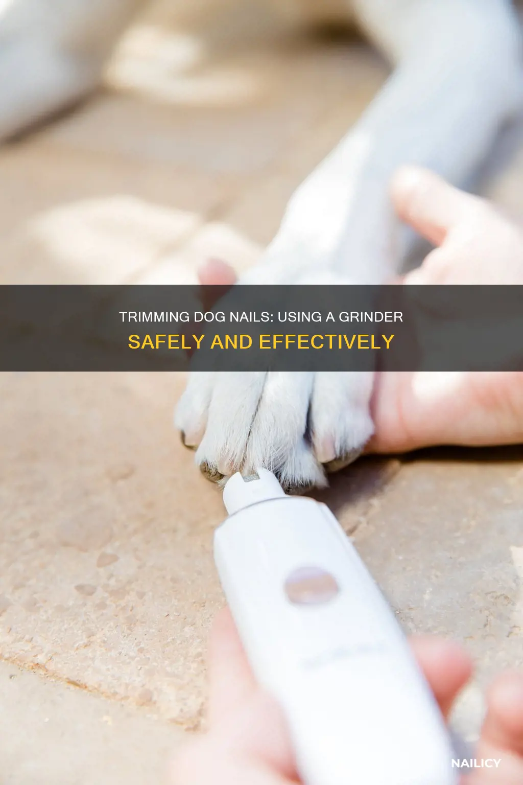 Trimming Dog Nails: Using A Grinder Safely And Effectively | Nailicy