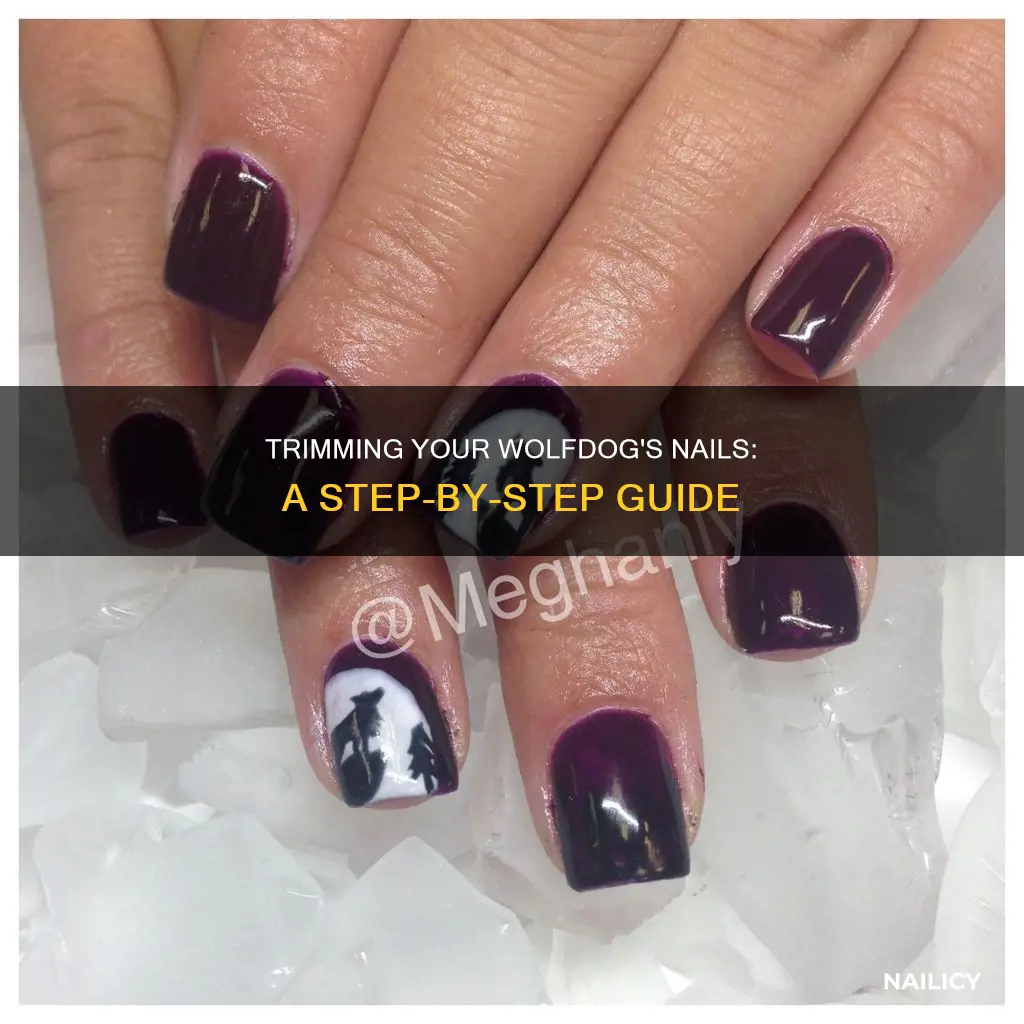 Trimming Your Wolfdog's Nails: A Step-By-Step Guide | Nailicy