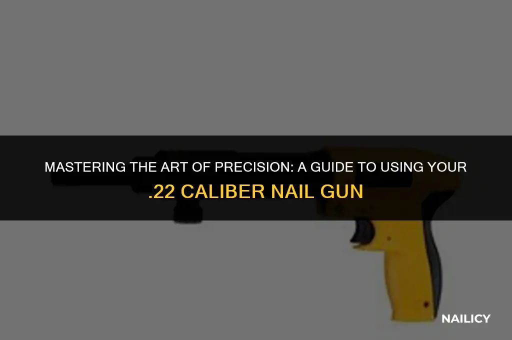 Mastering The Art Of Precision: A Guide To Using Your .22 Caliber Nail ...