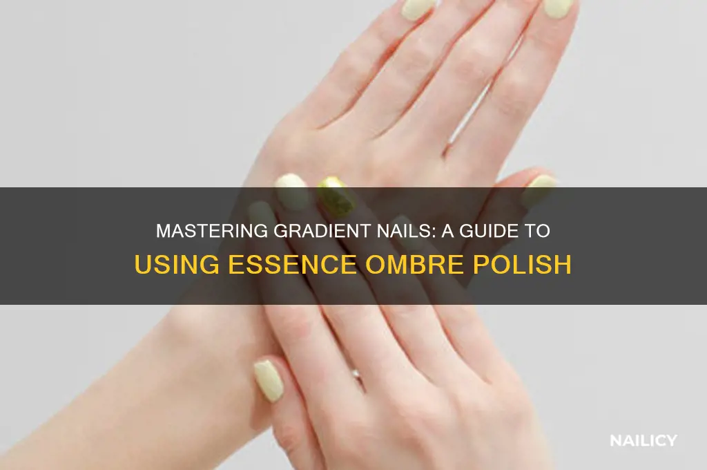 Mastering Gradient Nails: A Guide To Using Essence Ombre Polish | Nailicy