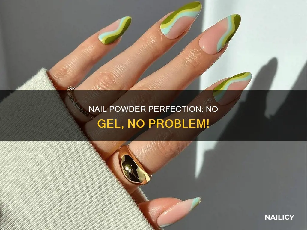 Nail Powder Perfection: No Gel, No Problem! | Nailicy