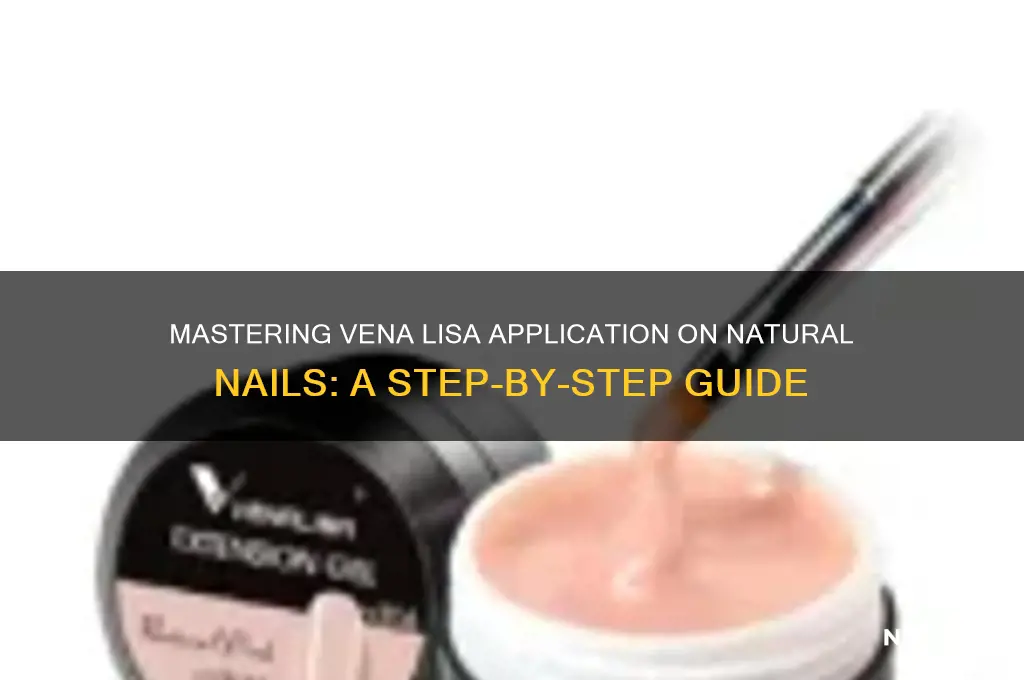 Mastering Vena Lisa Application On Natural Nails: A Step-By-Step Guide ...