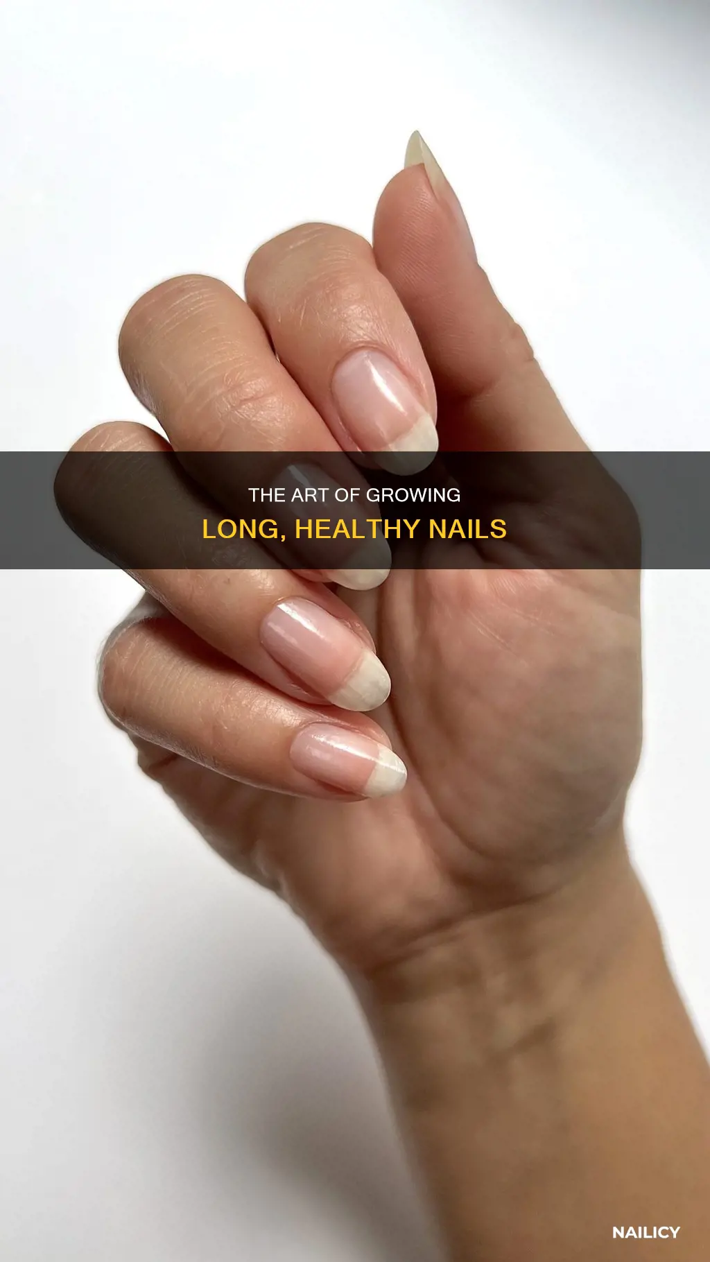 The Art Of Growing Long, Healthy Nails | Nailicy