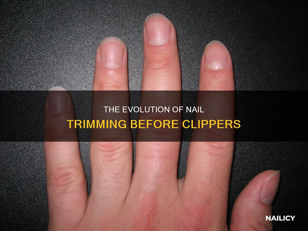 The Evolution Of Nail Trimming Before Clippers | Nailicy
