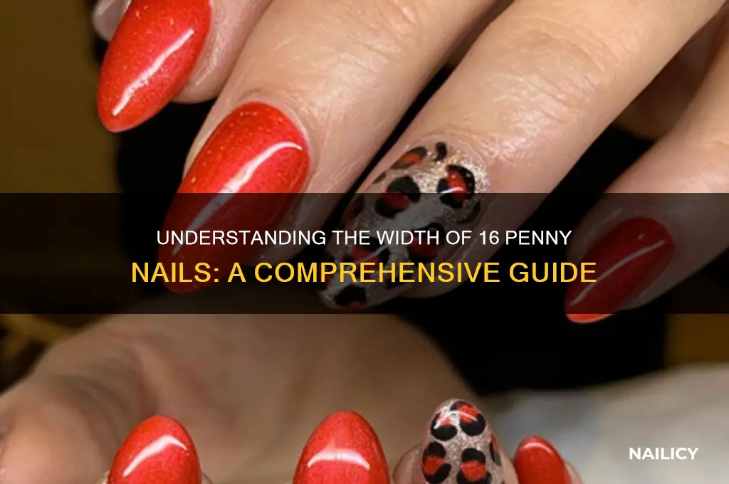 Understanding The Width Of 16 Penny Nails: A Comprehensive Guide | Nailicy