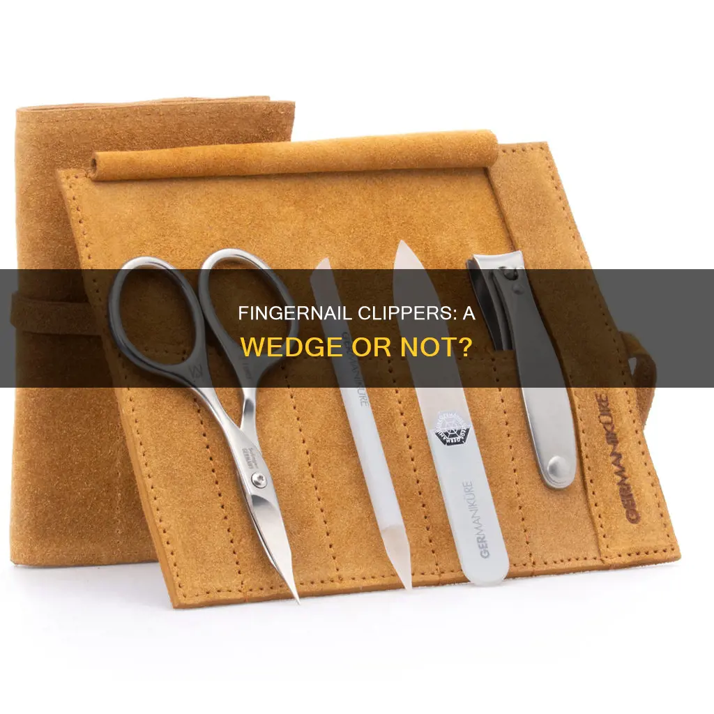 Fingernail Clippers: A Wedge Or Not? | Nailicy