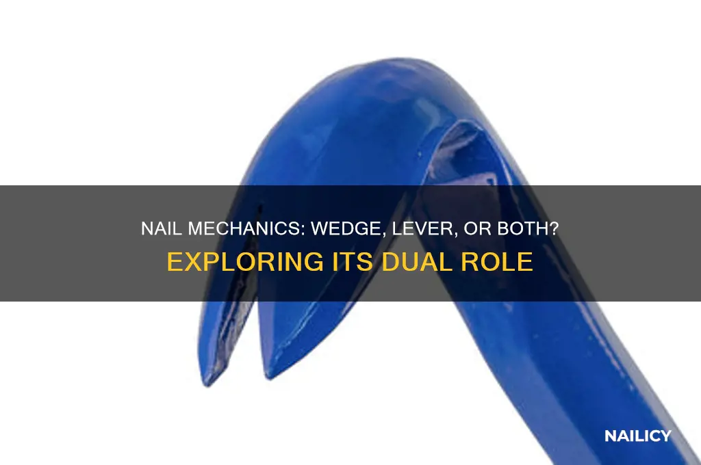 Nail Mechanics: Wedge, Lever, Or Both? Exploring Its Dual Role | Nailicy