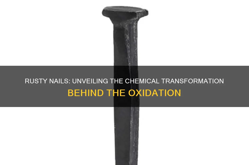 Rusty Nails: Unveiling The Chemical Transformation Behind The Oxidation ...