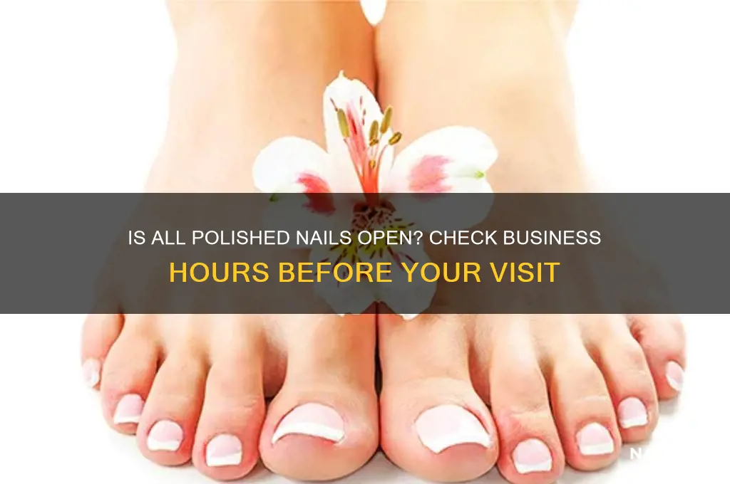 Is All Polished Nails Open? Check Business Hours Before Your Visit ...