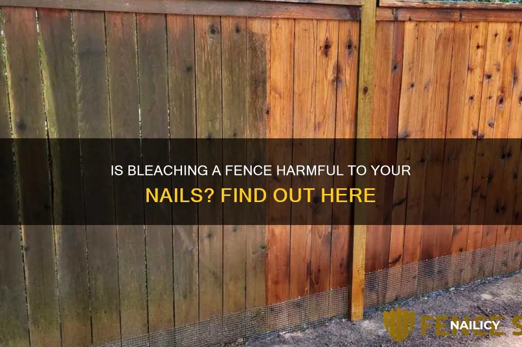 Is Bleaching A Fence Harmful To Your Nails? Find Out Here | Nailicy