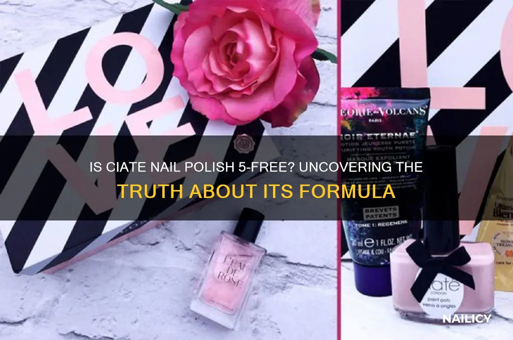 Is Ciate Nail Polish 5-Free? Uncovering The Truth About Its Formula ...
