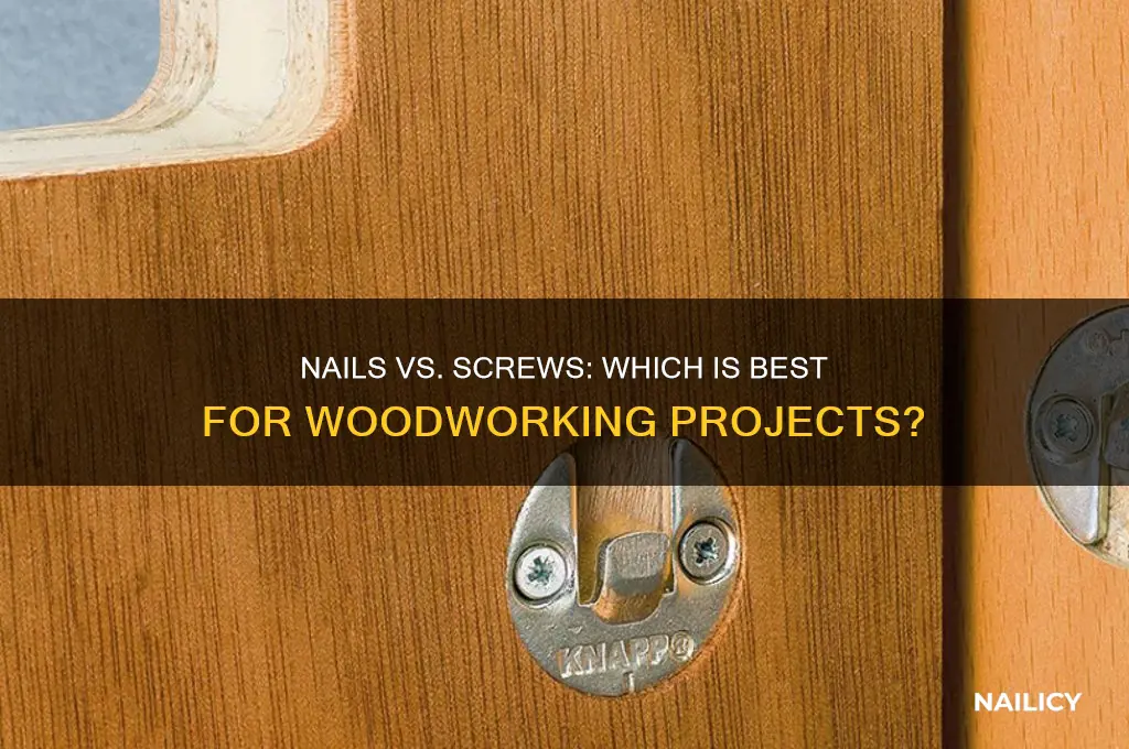 Nails Vs. Screws: Which Is Best For Woodworking Projects? | Nailicy