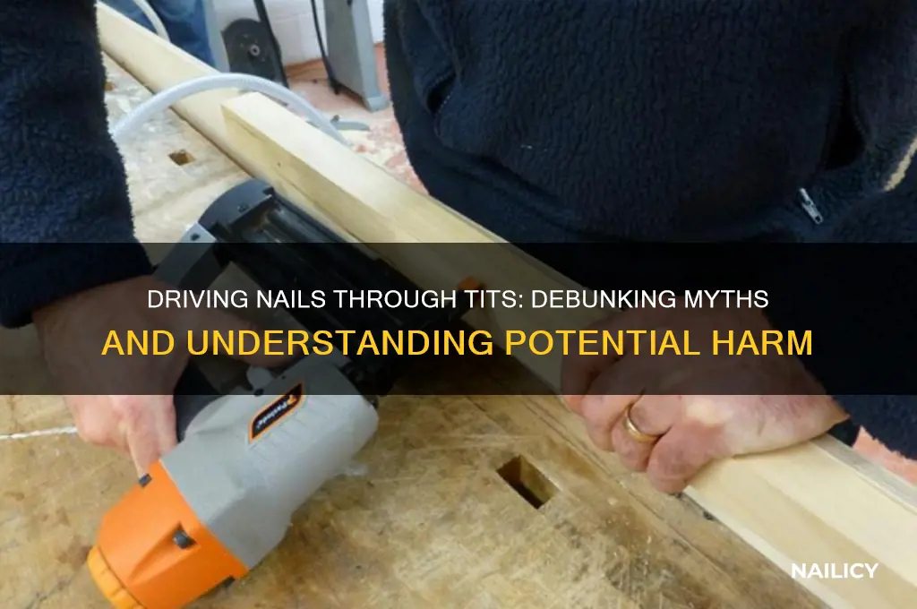 Driving Nails Through Tits: Debunking Myths And Understanding Potential ...