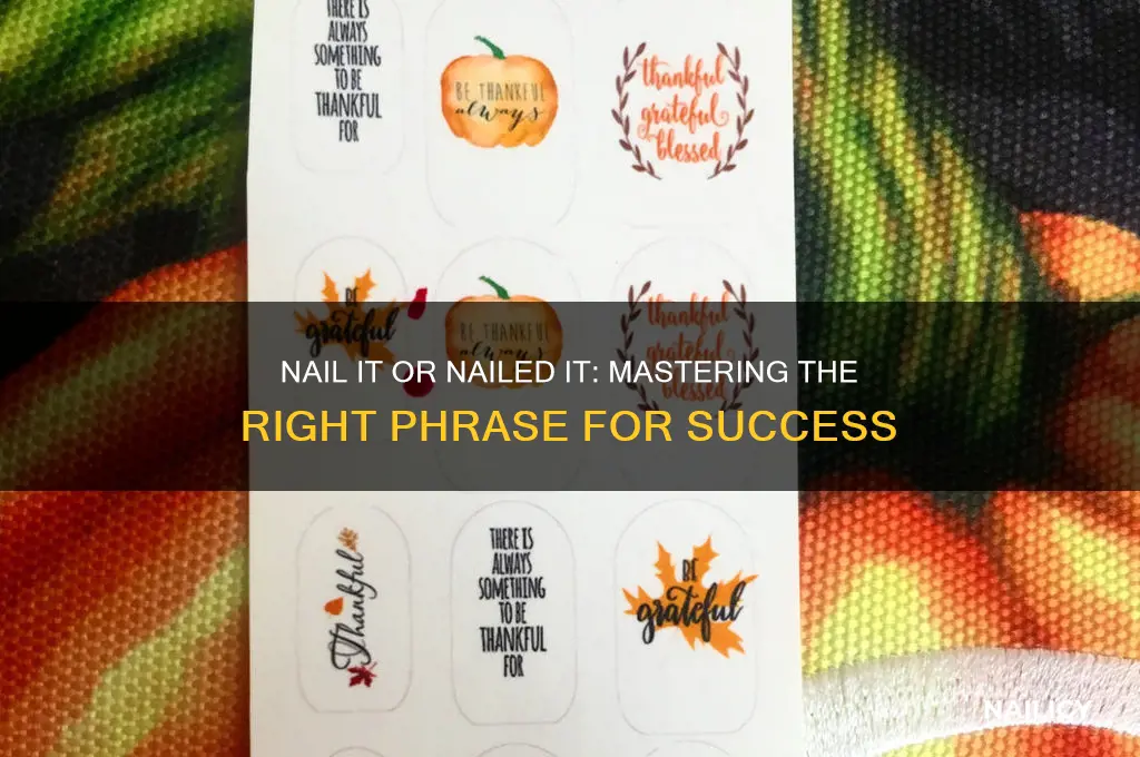 Nail It Or Nailed It: Mastering The Right Phrase For Success | Nailicy